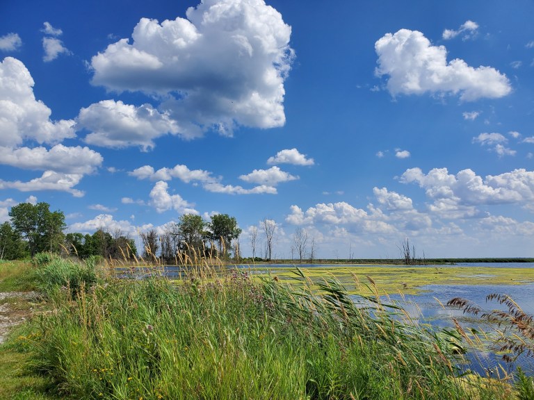 Writing Prompt: Countdown To Spring – My A-muse-ing Life